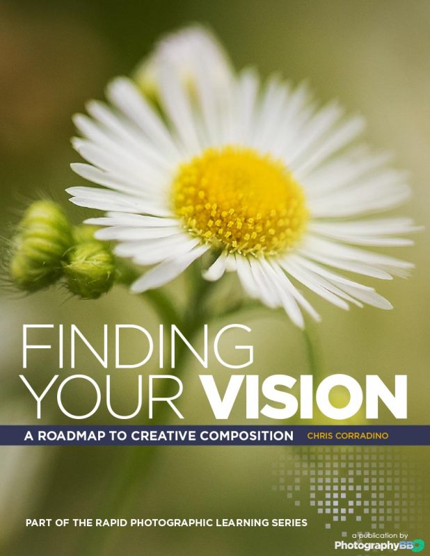 Finding Your Vision: A Roadmap to Creative Composition - PhotographyBB ...