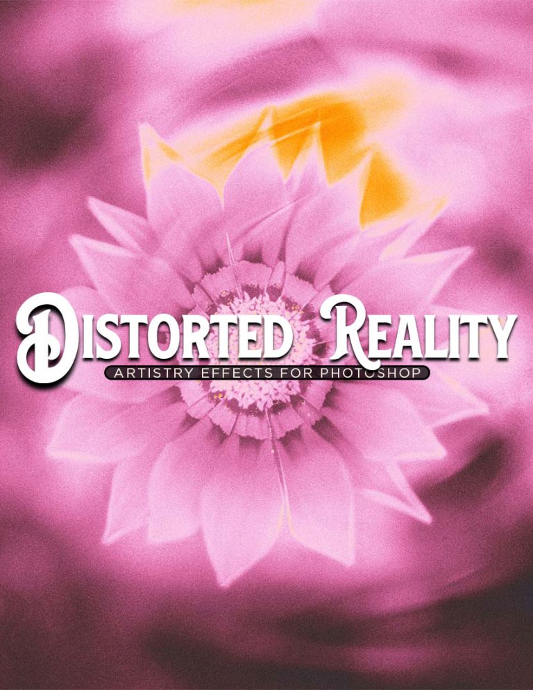 PhotographyBB Marketplace