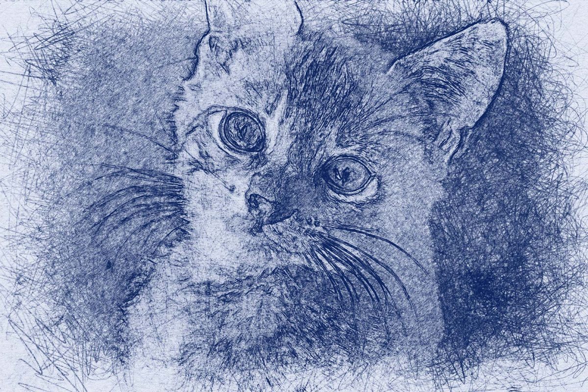 BallPoint Pen Drawing Effect - PhotographyBB Marketplace