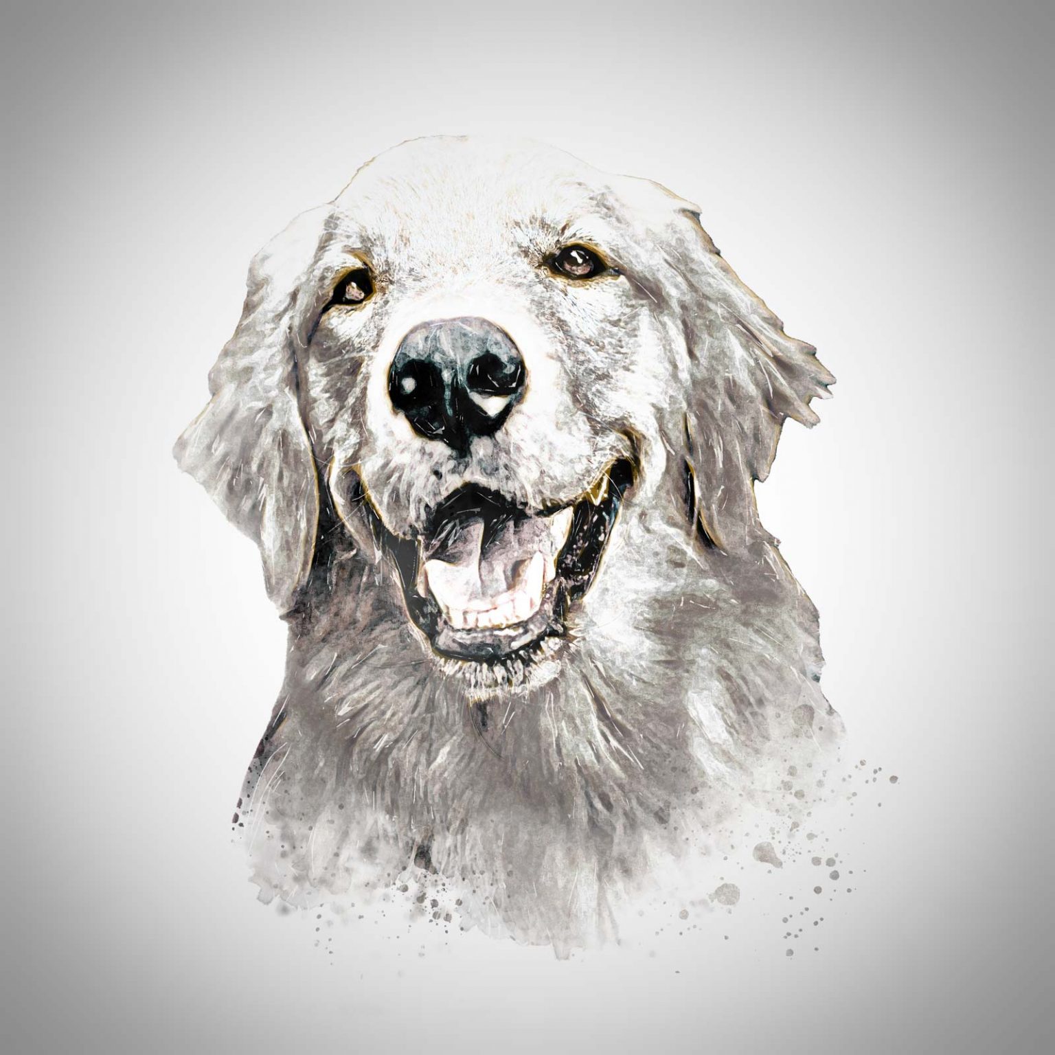 Memento Sketch Effect for Photoshop - PhotographyBB Marketplace