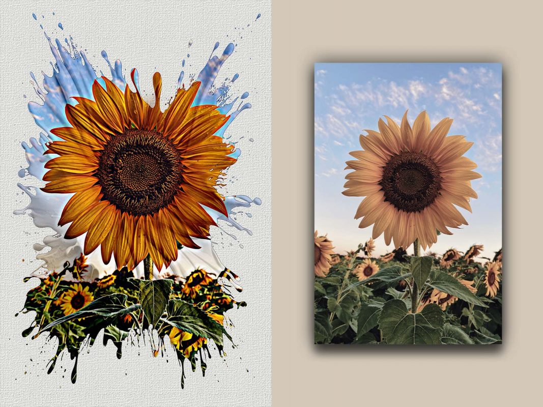 Paint Splash Photoshop Effect - PhotographyBB Marketplace