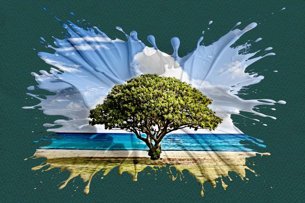 Paint Splash Photoshop Effect - PhotographyBB Marketplace